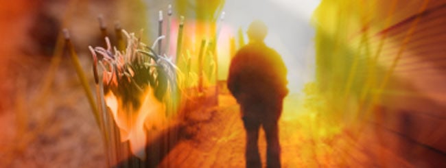 Acharei Mot in a Nutshell - Texts & Summaries - Parshah