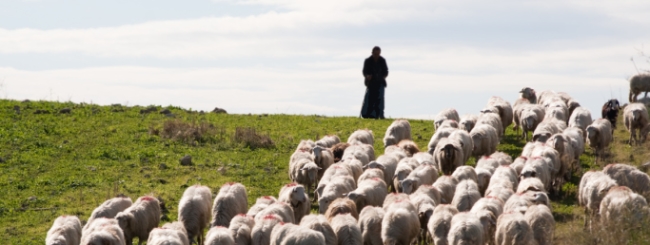 People of the Land - Shepherdology: Understanding the Jewish obsession ...