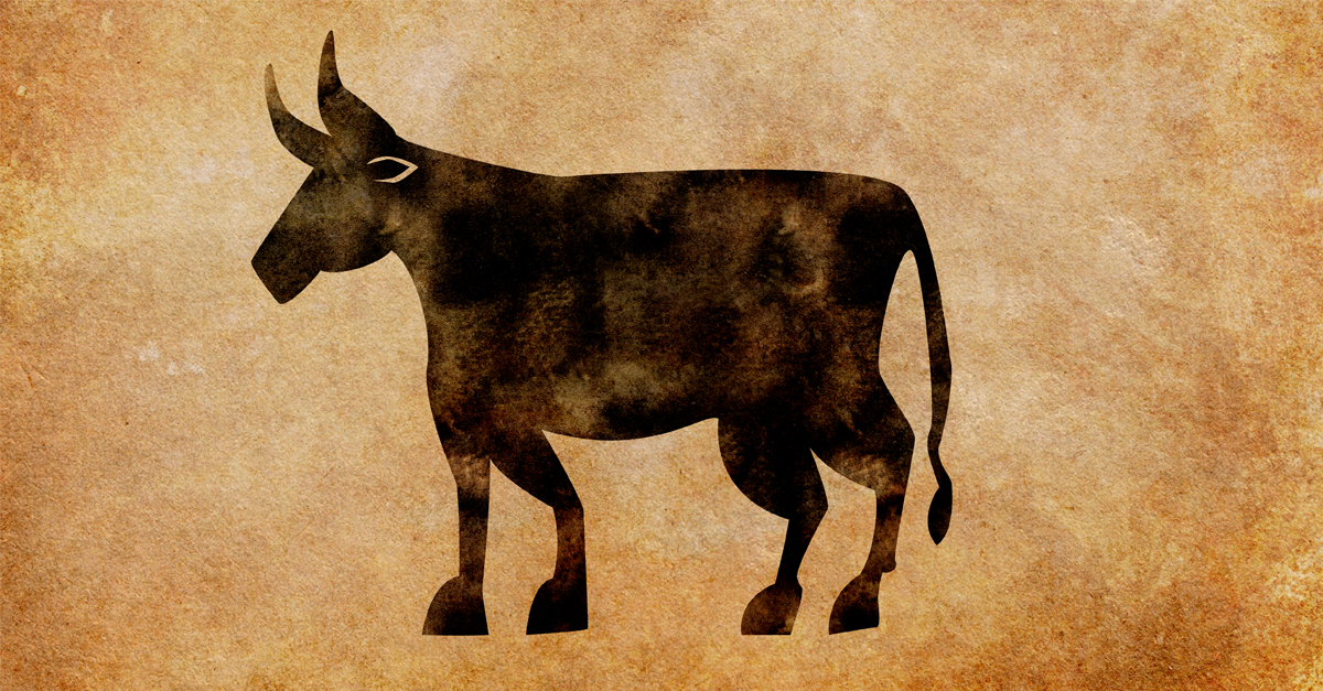 The Rabbi and the Ox - Jewish Tales from the Past